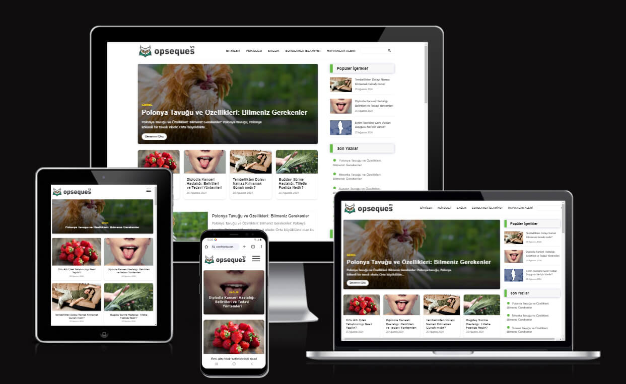 Dünyanın En Hızlı Wordpress Teması V3 300.000 TL Kazanmama Yardımcı ...