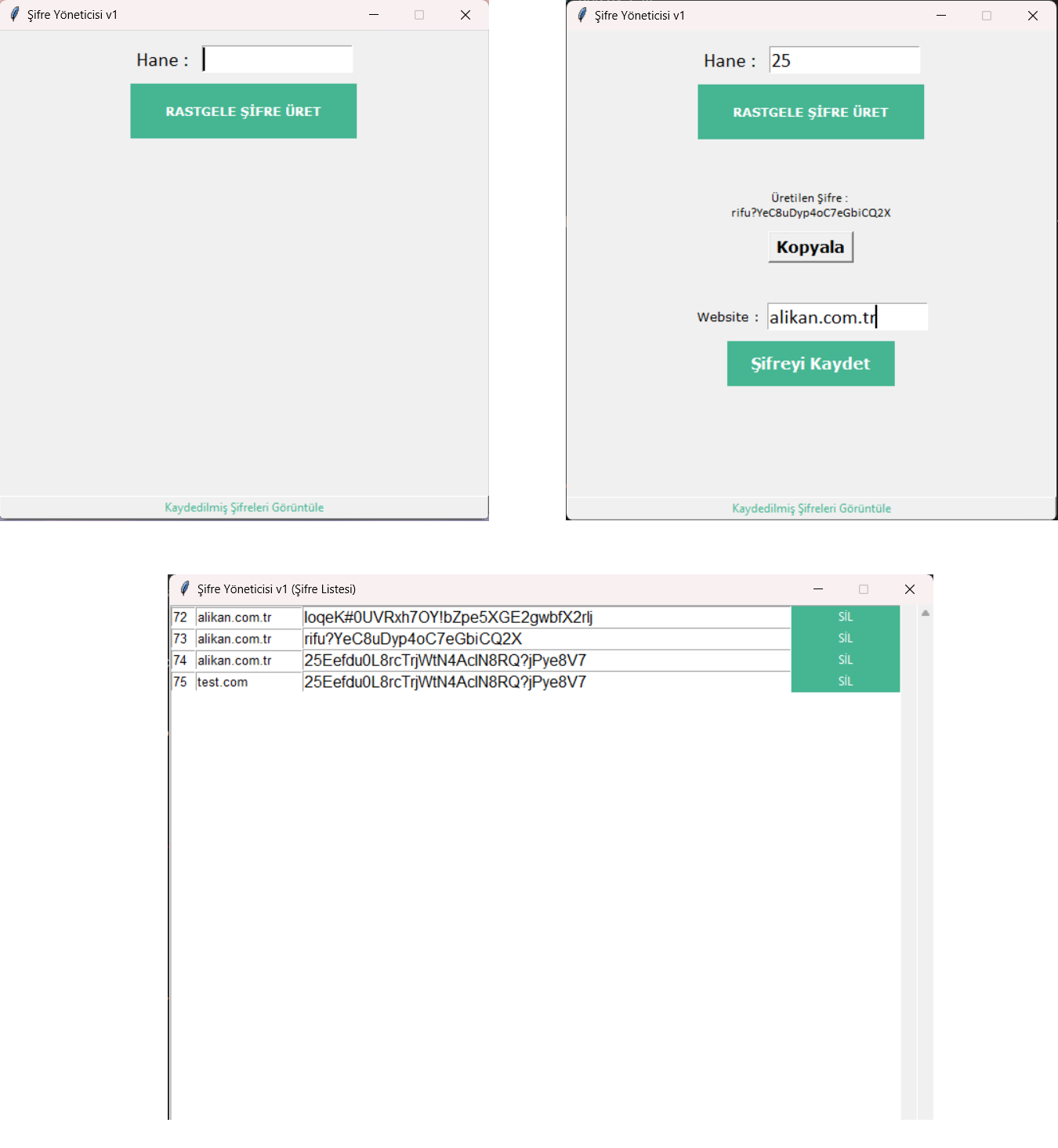 (Ücretsiz) Python Şifre Yöneticisi (v1) - R10.net