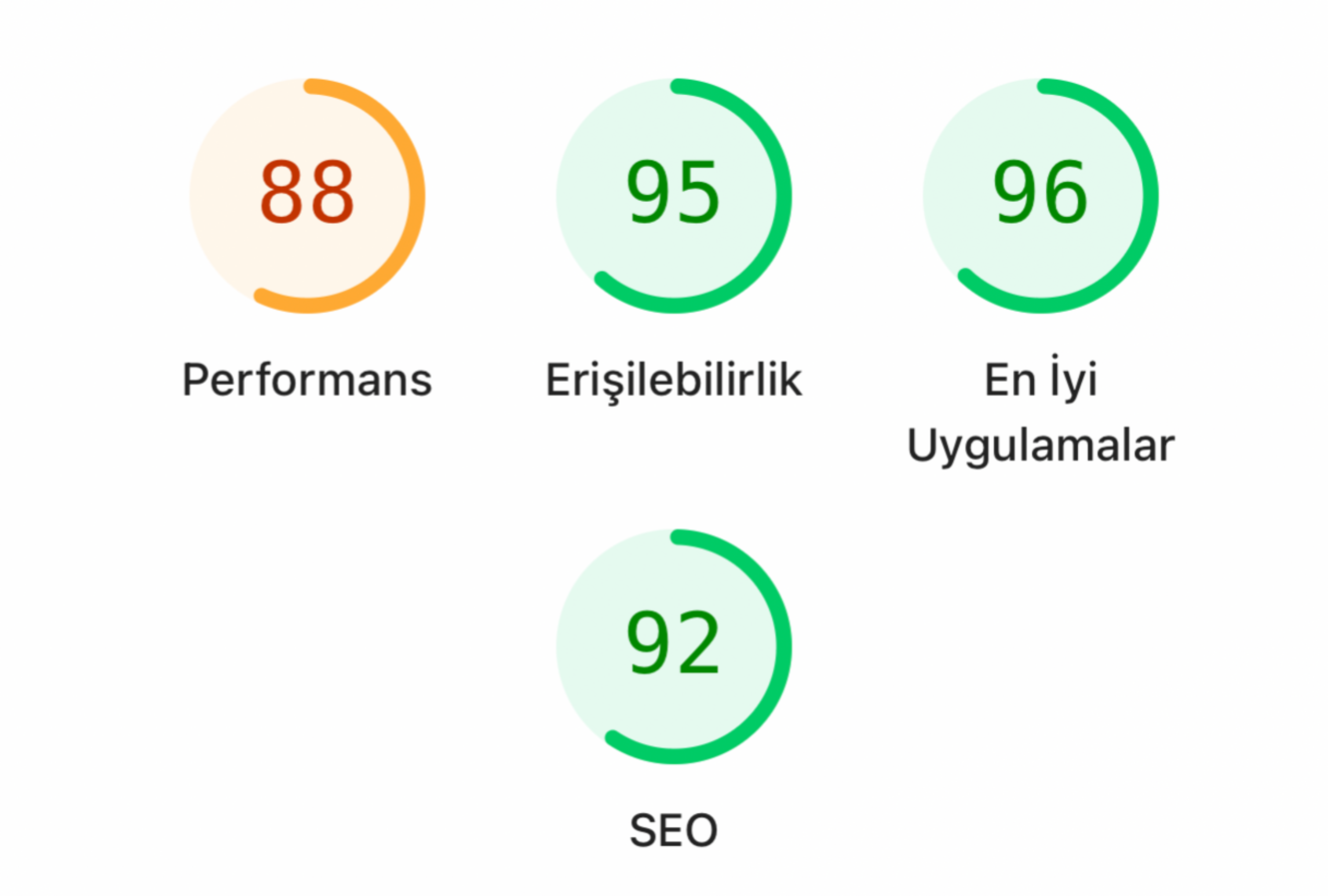 Site Hız Skoru 100 Yaptık Seo Faydası Oldu Mu? - R10.net
