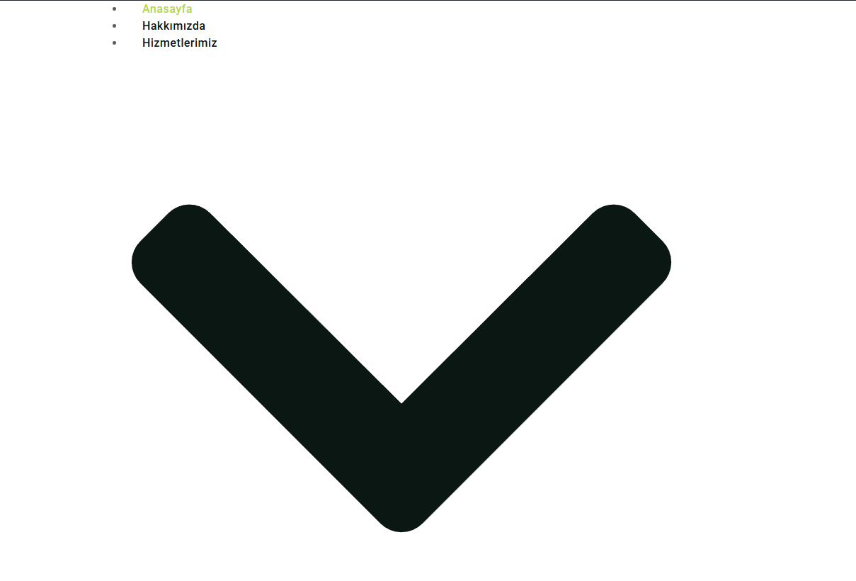 Wordpress Header CSS Bozukluk sorunu. - R10.net